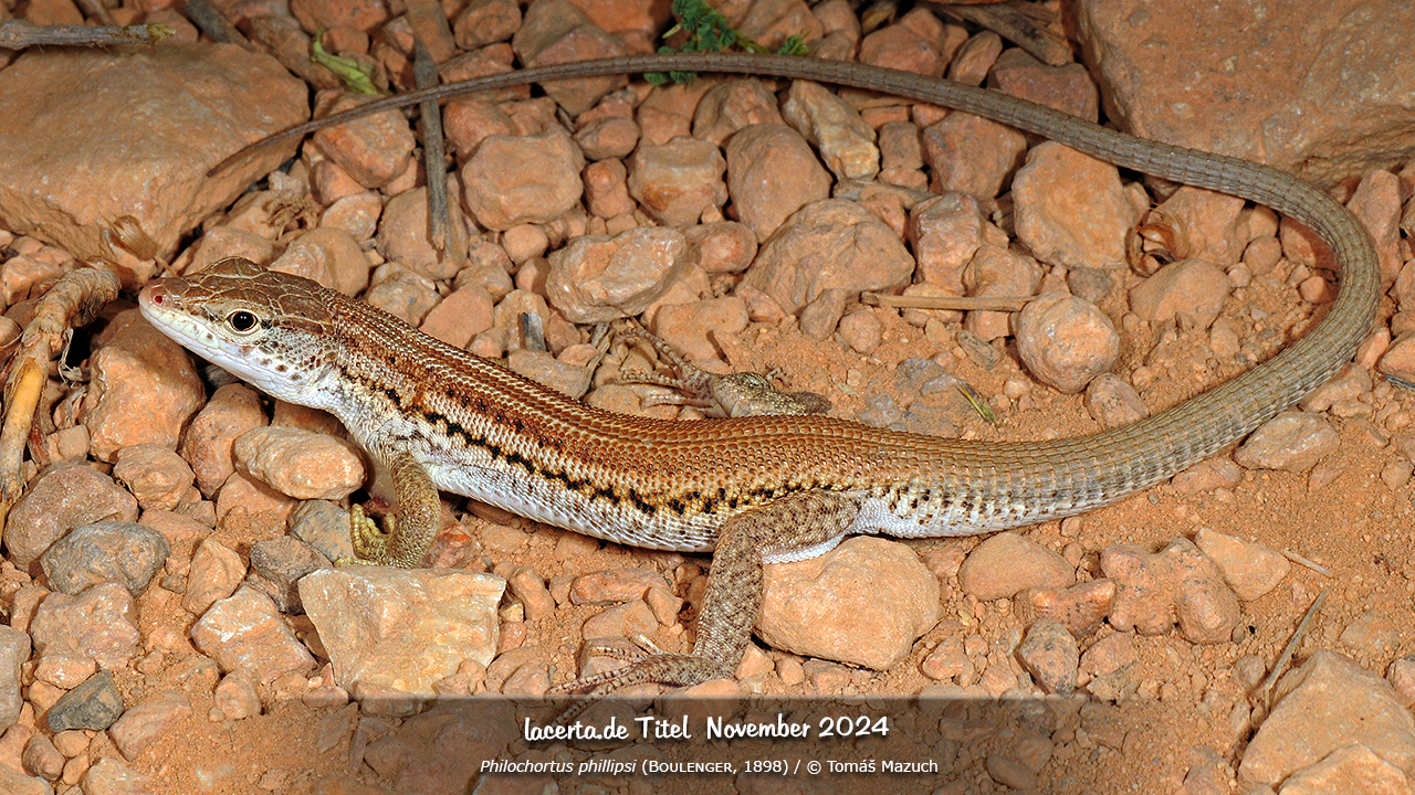 Home [www.lacerta.de]